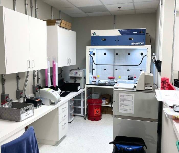 Gastroenterology & Endoscopy In-House Lab Testing