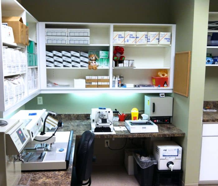 Pathology Lab Solutions - Lighthouse Lab Services