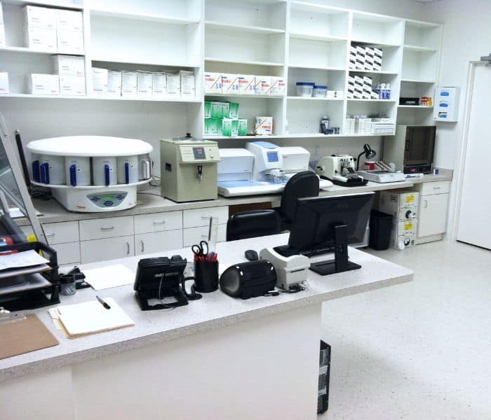 Gastroenterology & Endoscopy In-House Lab Testing